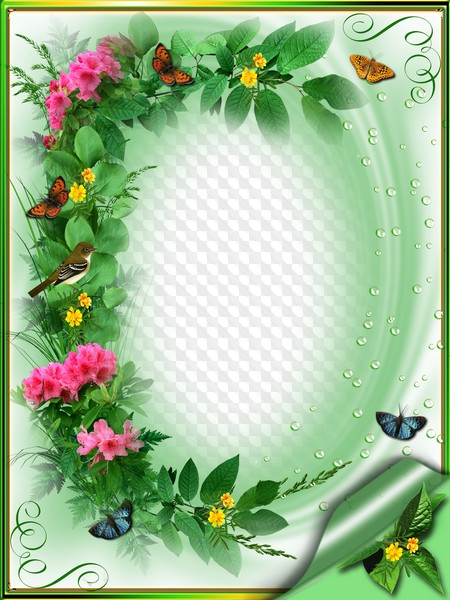 Frames for photoshop - In the world of flowers