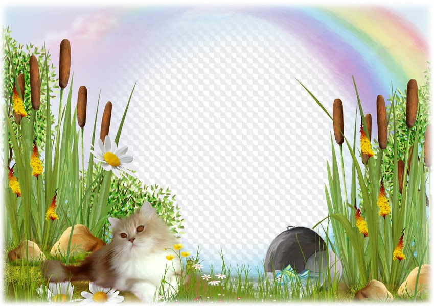 Set of photo frames for Photoshop with wild flowers and fluffy little ...