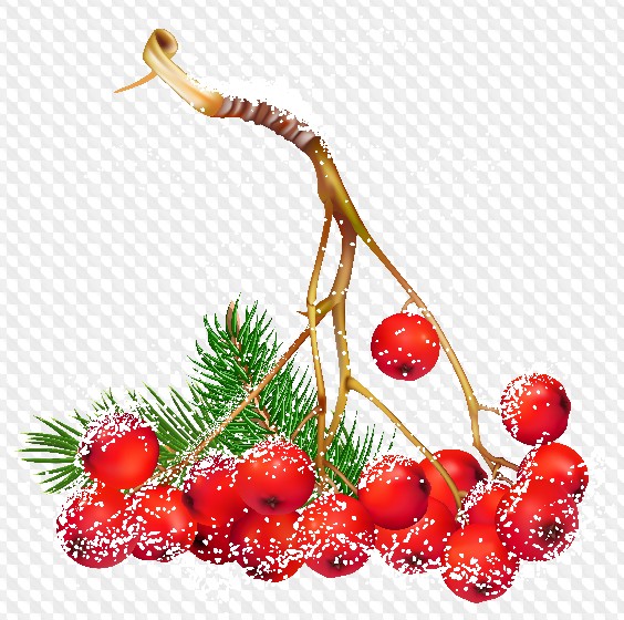 Updated: 86 PNG, Christmas clusters png on transparent background