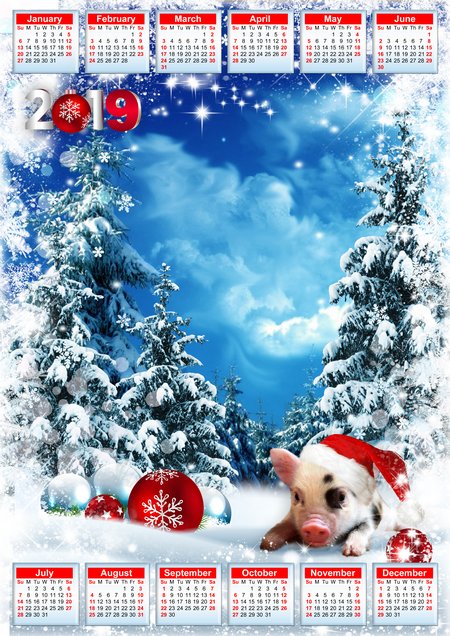 Winter coniferous forest, Calendar 2019. Calendar for Photoshop.