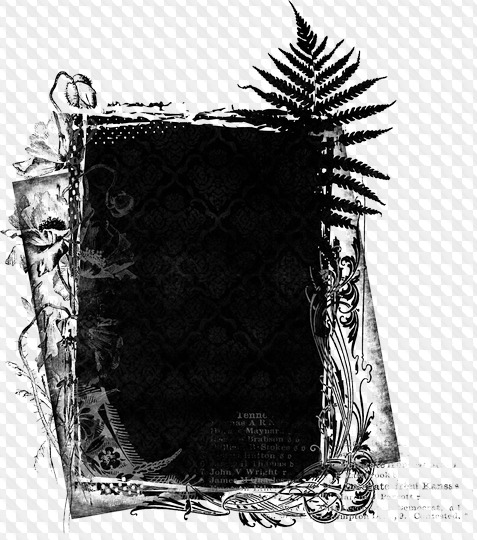 Beautiful mask frames on a transparent background in PNG download