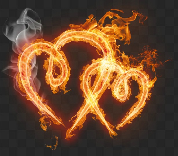 Updated: 42 PNG, Fire, Fire flowers, hearts, Fire love and frames, PNG ...