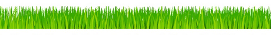 Free PSD file - Grass, lawn, flowers, layered psd (11 layers)