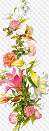 28 PNG, Flowers and birds on transparent background