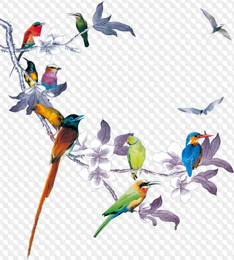 28 PNG, Flowers and birds on transparent background