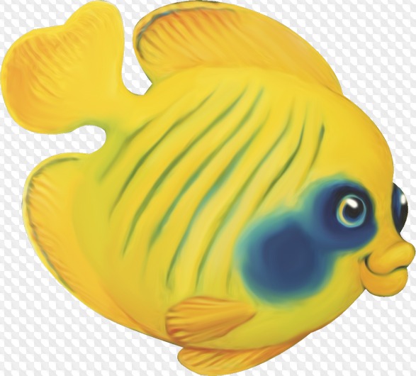 Fish PNG, Fish Clipart PNG, 120 images, download