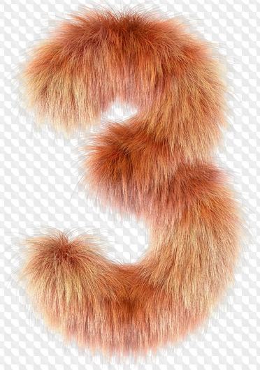 Numbers red fur PNG