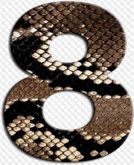 Numbers from snake skin, PSD, PNG images on transparent background