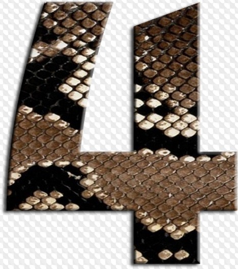 Numbers from snake skin, PSD, PNG images on transparent background