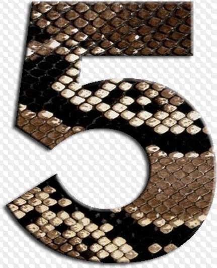 Numbers from snake skin, PSD, PNG images on transparent background