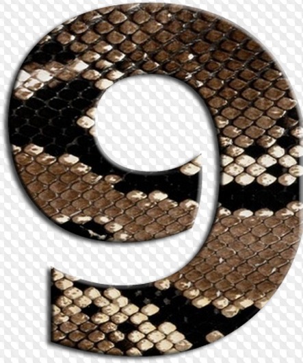 Numbers from snake skin, PSD, PNG images on transparent background