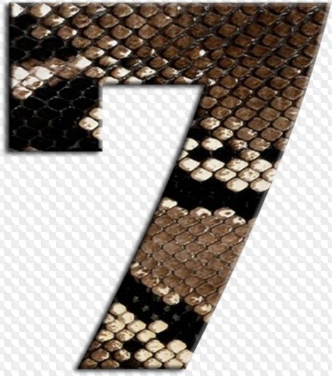 Numbers from snake skin, PSD, PNG images on transparent background