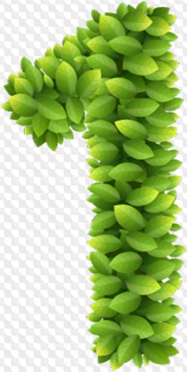 Numbers from the leaves PNG, free download
