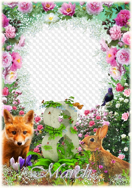 March 8th photo frame template PNG PSD