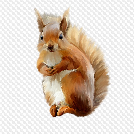 24 PNG, Autumn Little squirrels on transparent background