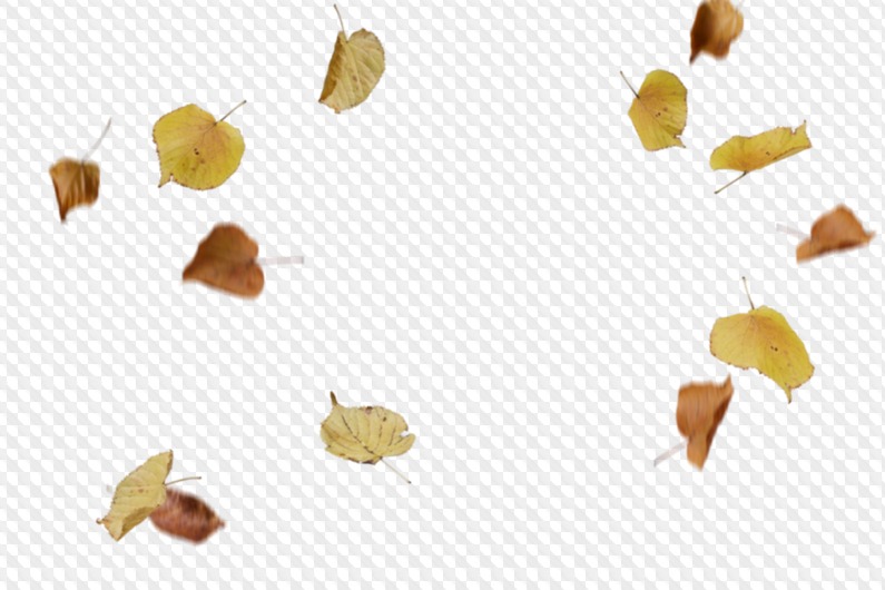 Updated Jul-31-2018: Falling leaves PNG Overlays, 75 images ...