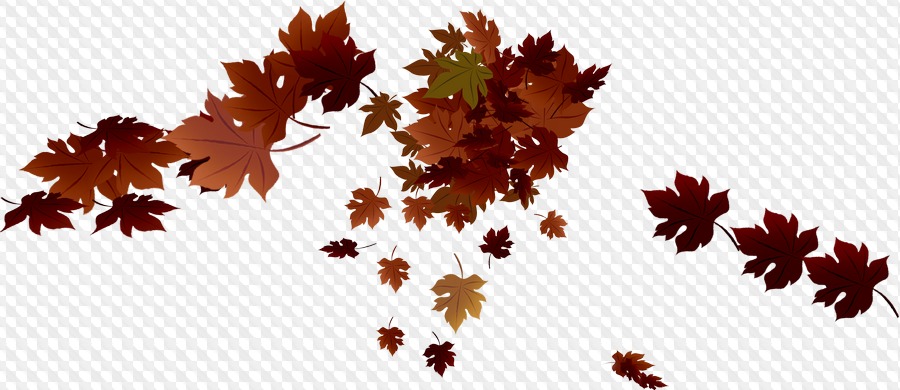 Autumn trees, leaves, overlays, PNG, 131 images , transparent background