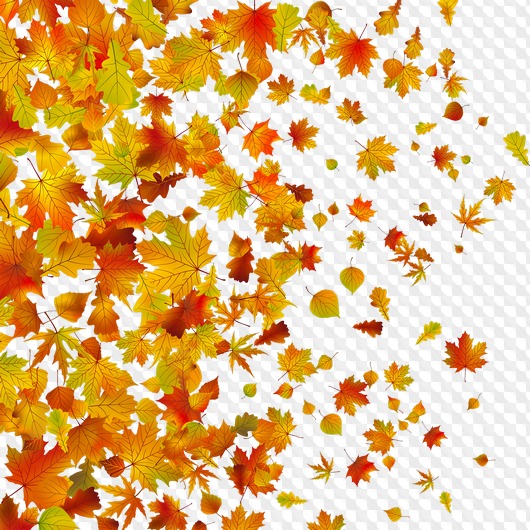 Autumn trees, leaves, overlays, PNG, 131 images , transparent background