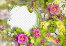 Sunny day, Spring photo frame template