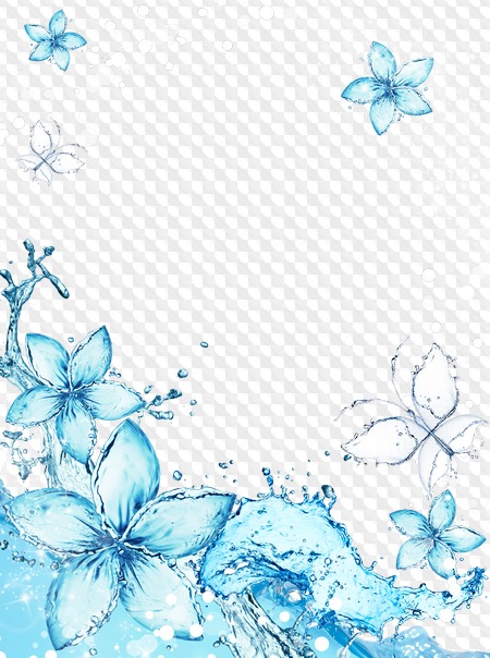 Flowers of water, abstract Photo frame. Transparent PNG Frame, PSD ...
