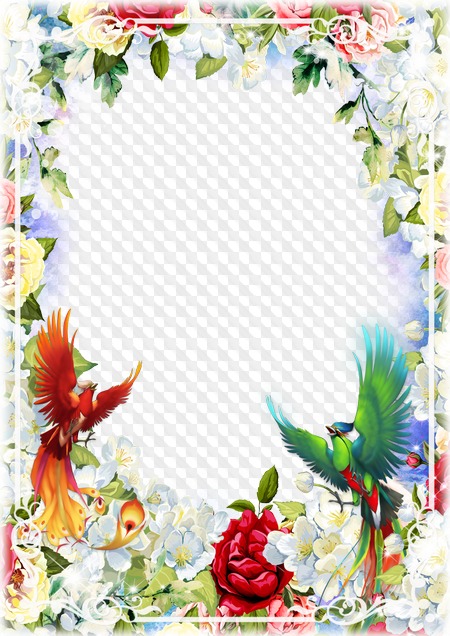 Fairy birds, photo frame, template PSD, PNG. Transparenter Rahmen PNG ...