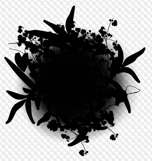 Beautiful mask frames png on a transparent background ( 48 mask frames ...