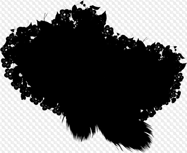 Beautiful mask frames png on a transparent background ( 48 mask frames ...