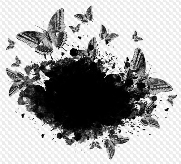 Set of spring masks png for photo design - 29 PNG Frame masks