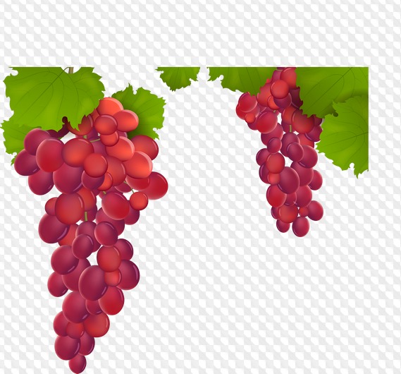 Autumn berries png, Autumn nuts png ( free 107 PNG )