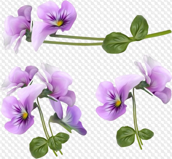 Flower clipart png ( UPDATED free 136 png, transparent, download )