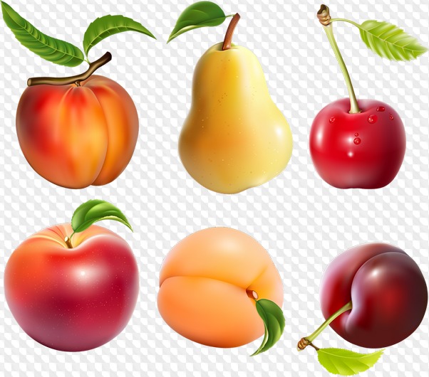 PSD, 38 PNG, Juicy Fruit Clipart with Transparent Background