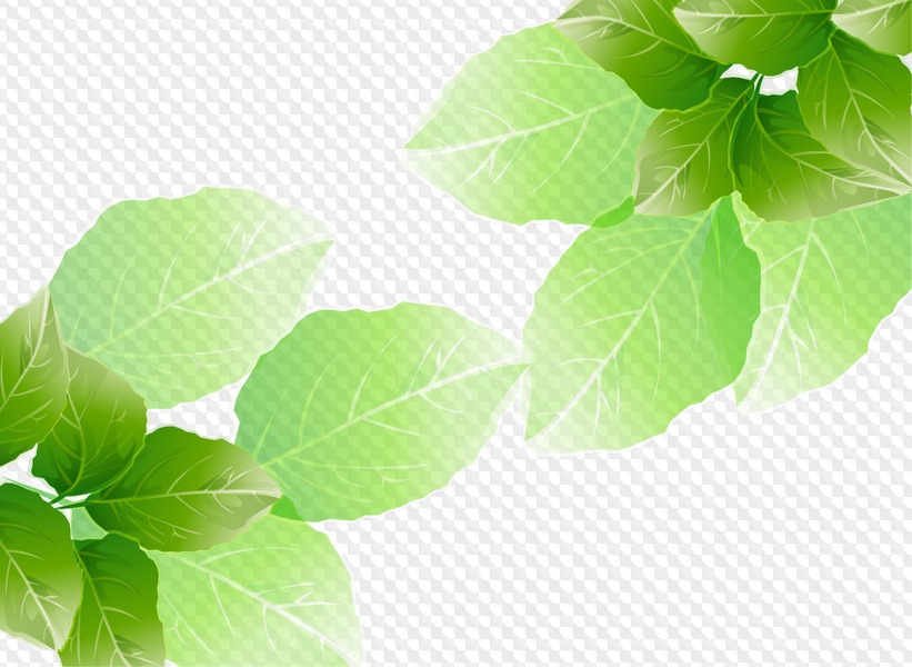 72 PNG, Spring verdure on transparent background