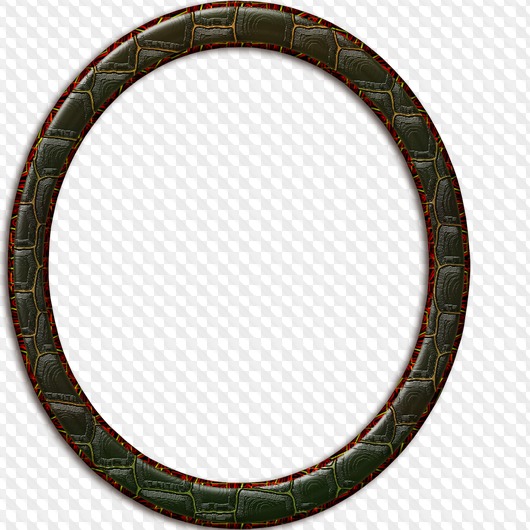 11 PNG, Snake skin, frames with transparent background