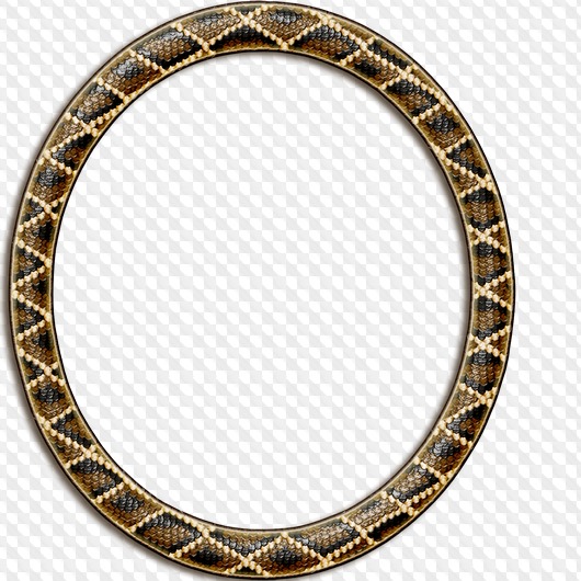 11 PNG, Snake skin, frames with transparent background