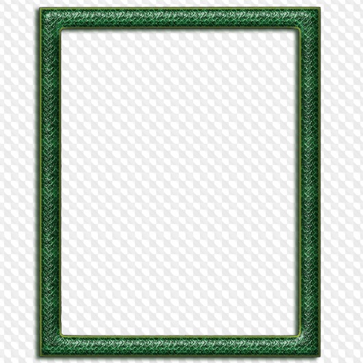 11 PNG, Snake skin, frames with transparent background