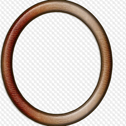 11 PNG, Snake skin, frames with transparent background