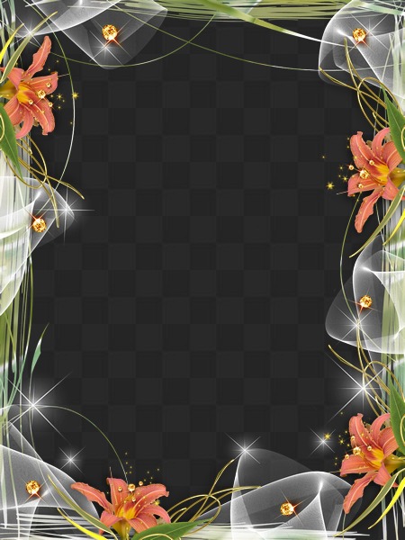 PSD, 16 PNG Flower Photo Frames with transparent background