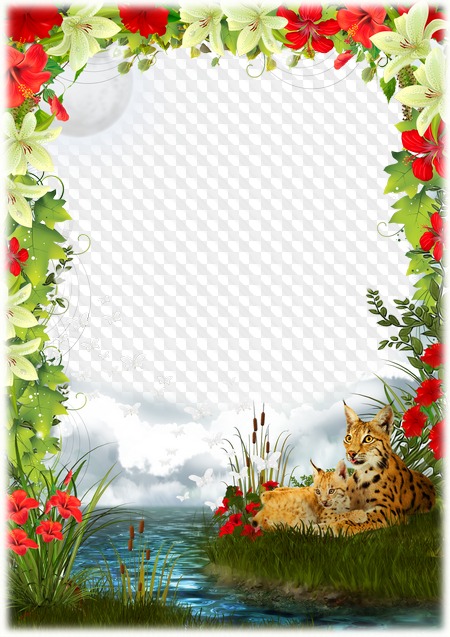 Lynx at spring creek, photo frame