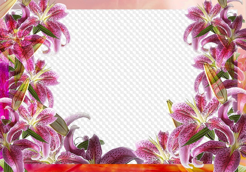 Shining Lily Photo Frame, PSD Template, PNG. Transparent PNG Frame, PSD ...
