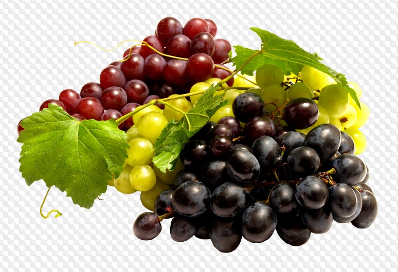 Fresh Fruit png images on a transparent background ( free 35 png images ...