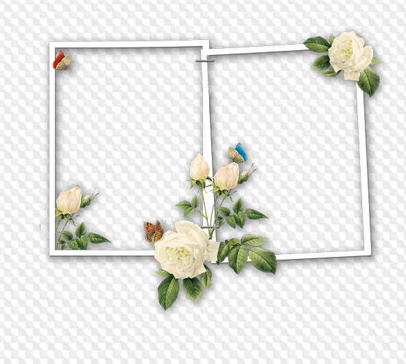 Updated: 47, Floral vignette, frames in PNG format