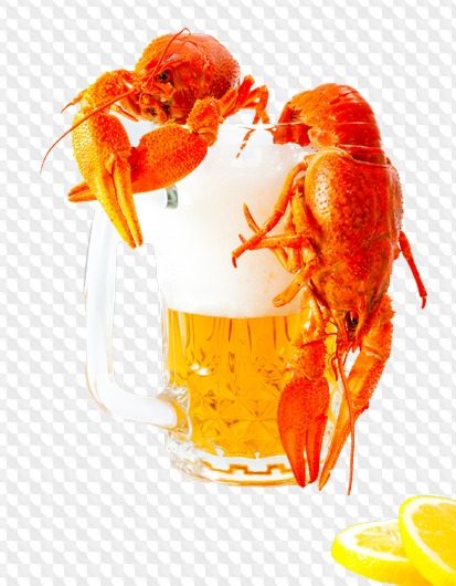 40 Free PNG, Beer mugs and boiled crawfish on transparent background ...