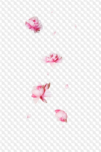 40 PNG, The Magic World of Flowers - Flowers PNG