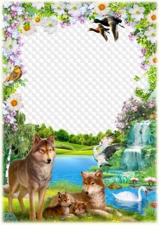 Photo frame template, Wolves in nature.