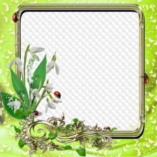 Photo Frame for Photosop - Spring rain ( free photo frame psd png, free ...