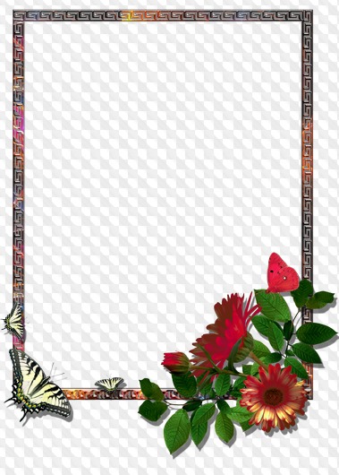 Set of floral frames png for photoshop download ( free 17 floral frames ...