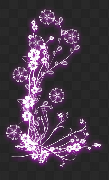 6 PNG, Glowing Flowers, graphics, images with transparent background