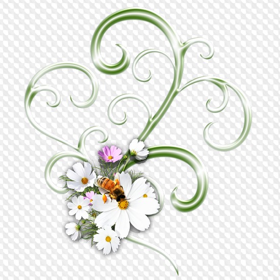 Png Curls with flowers, free png images, download