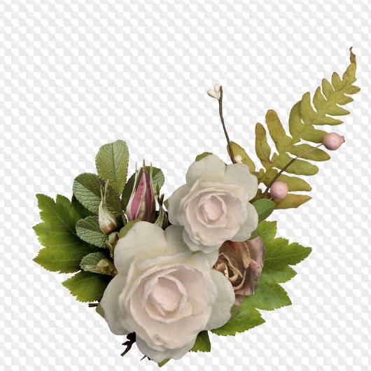 Flower png images clusters png for design on a transparent background