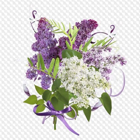 Flower png images clusters png for design on a transparent background